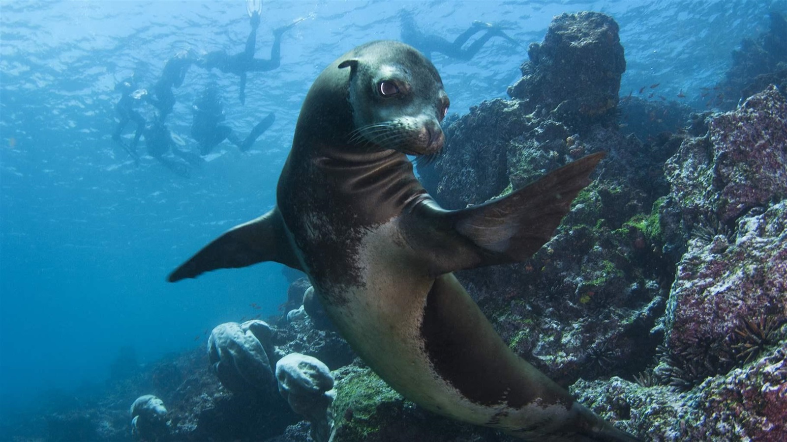 Innovative Financing Tool Helps Protect Galápagos Islands | Pew ...